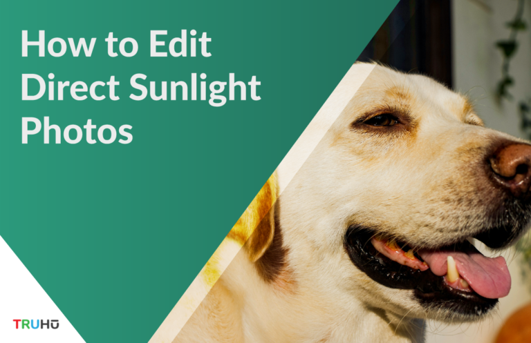Making the Sun Your Ally: How to Edit Direct Sunlight Photos - TruHu Blog